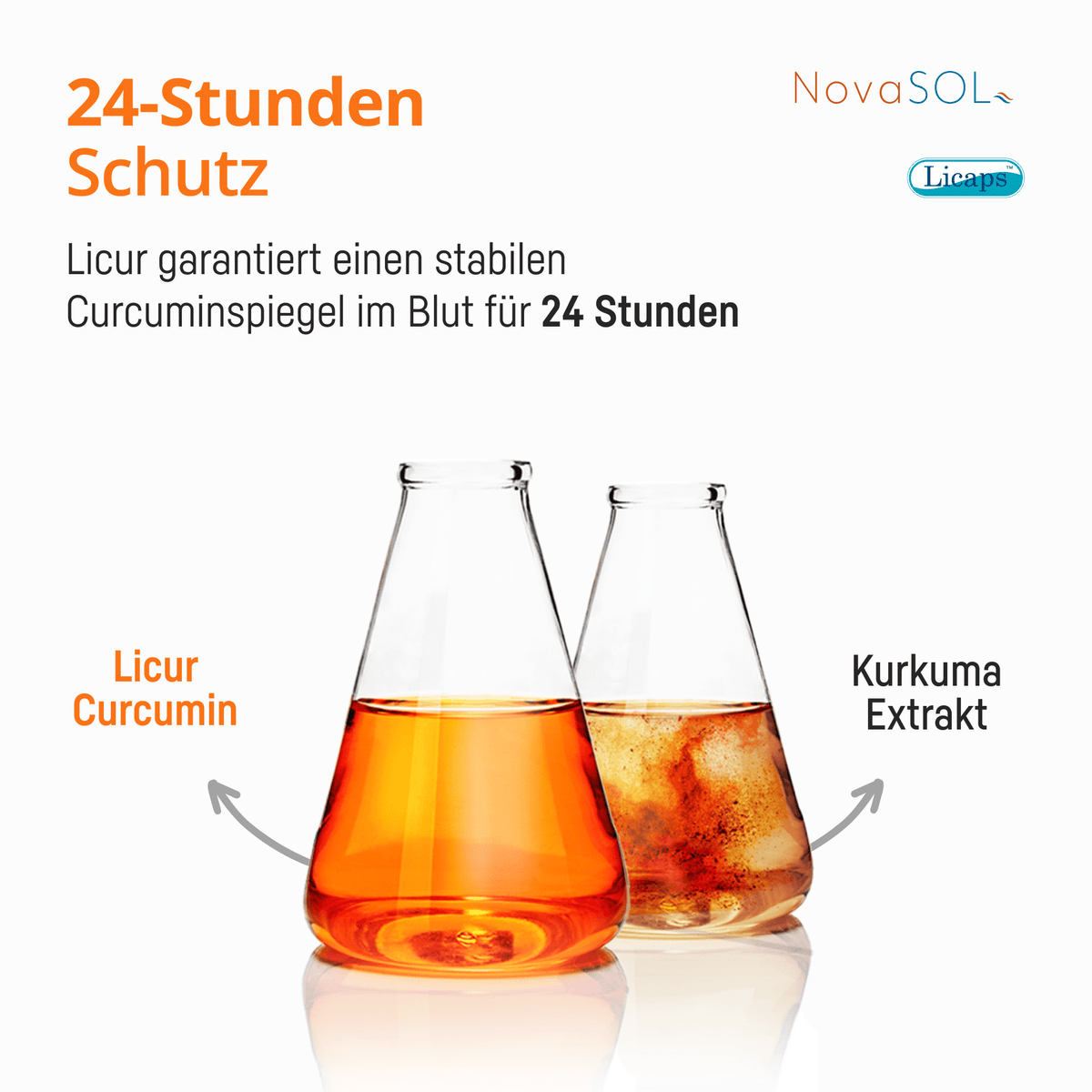 Liquid Curcumin Capsules – Licur Max 30